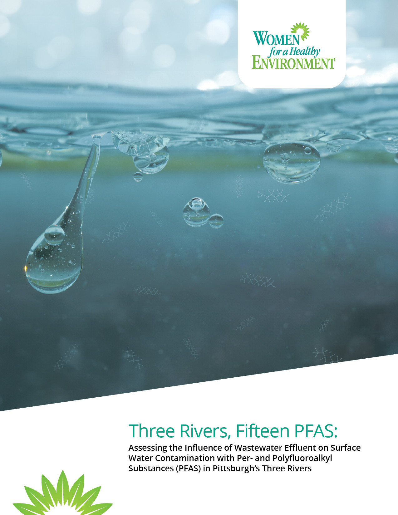 Public Health Policy Reports - Women For a Healthy Environment